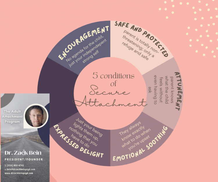 The Adult Attachment Program